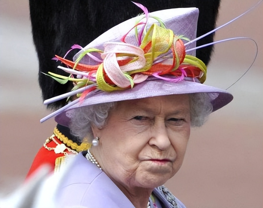 What privileges does the Queen and the Royal Family enjoy, and how did ...