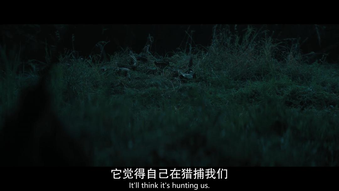 Predator vs Huntress, classic IP is reborn by throwback - iNEWS