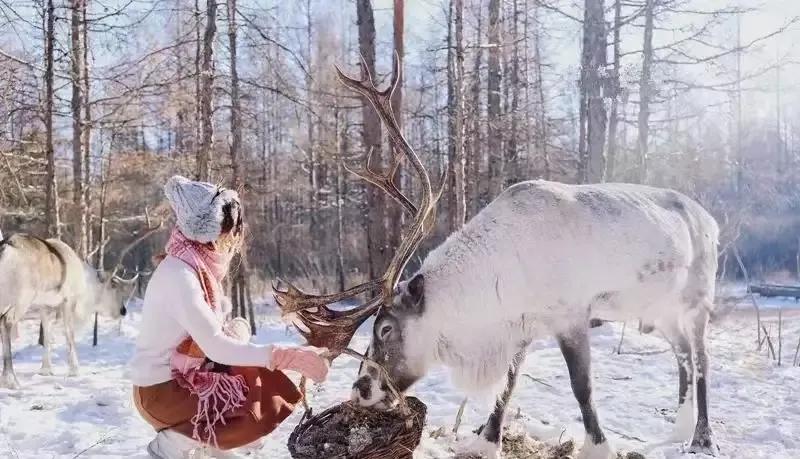 This winter? Let's go to Mohe to watch the aurora - iNEWS