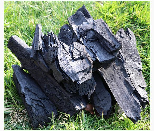 Why is there life on earth - iNEWS