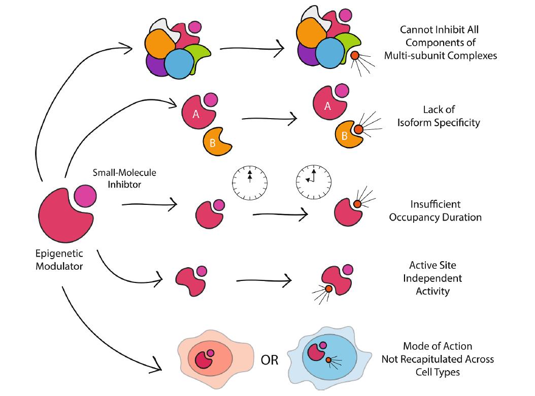 PROTAC combined with CRISPR screening has great potential in this anti ...