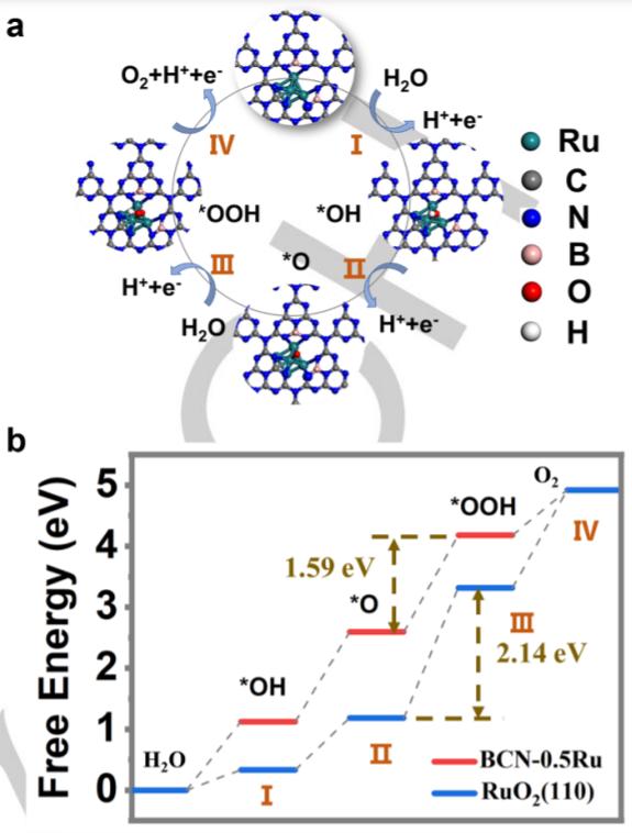 new perspective! Angew of Li Hui's team at Southern University of Science and Technology: OER in ...