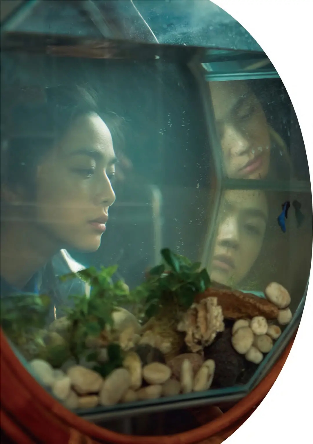 Tang Wei's new film "Resolve to Break Up": demure and gentle, decisive ...