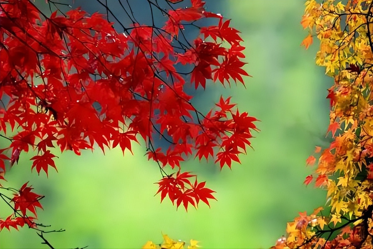 This morning, I will dedicate all the respect in my heart to the ...