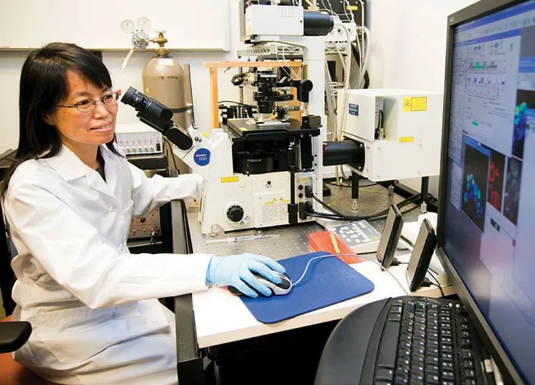 Finding the key to the heart: Stem cells in microgravity could improve ...