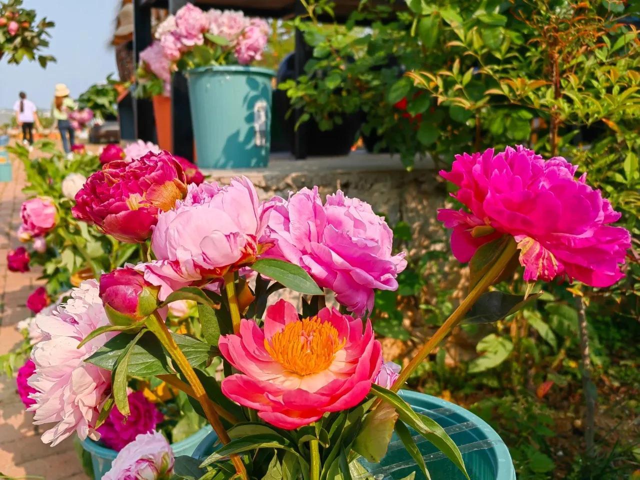 "Positive and optimistic, sunny life: Embrace beauty and move forward ...