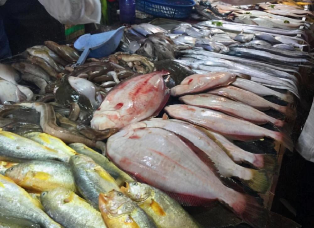 Please stop eating these 3 kinds of fish, containing formaldehyde and ...