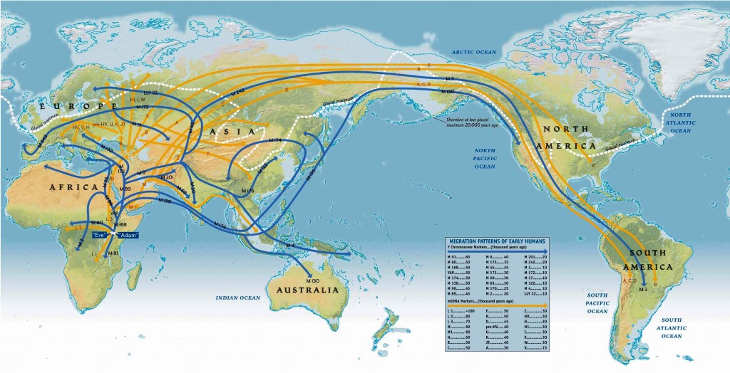 From the perspective of genetics, exploring the origin of human beings ...