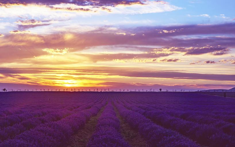 Xinjiang original ecological music artist Lang Ge collects folk songs ...
