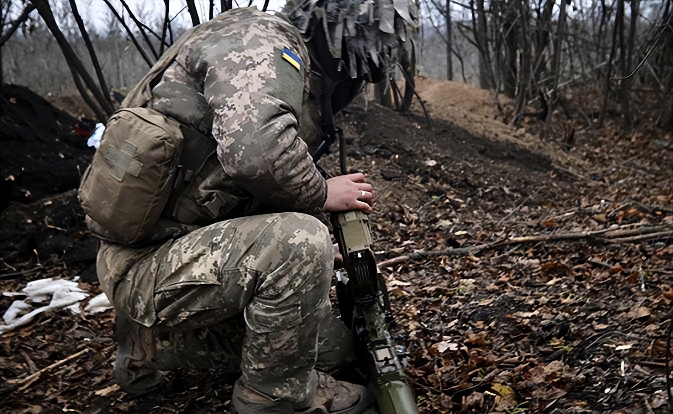 The Ukrainian army was disabled by the establishment, and the ...