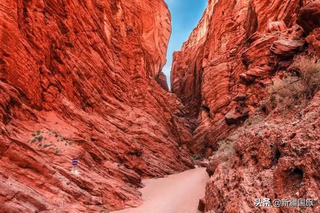 What does the ending of "Flying Life" mean? Go to the filming location ...