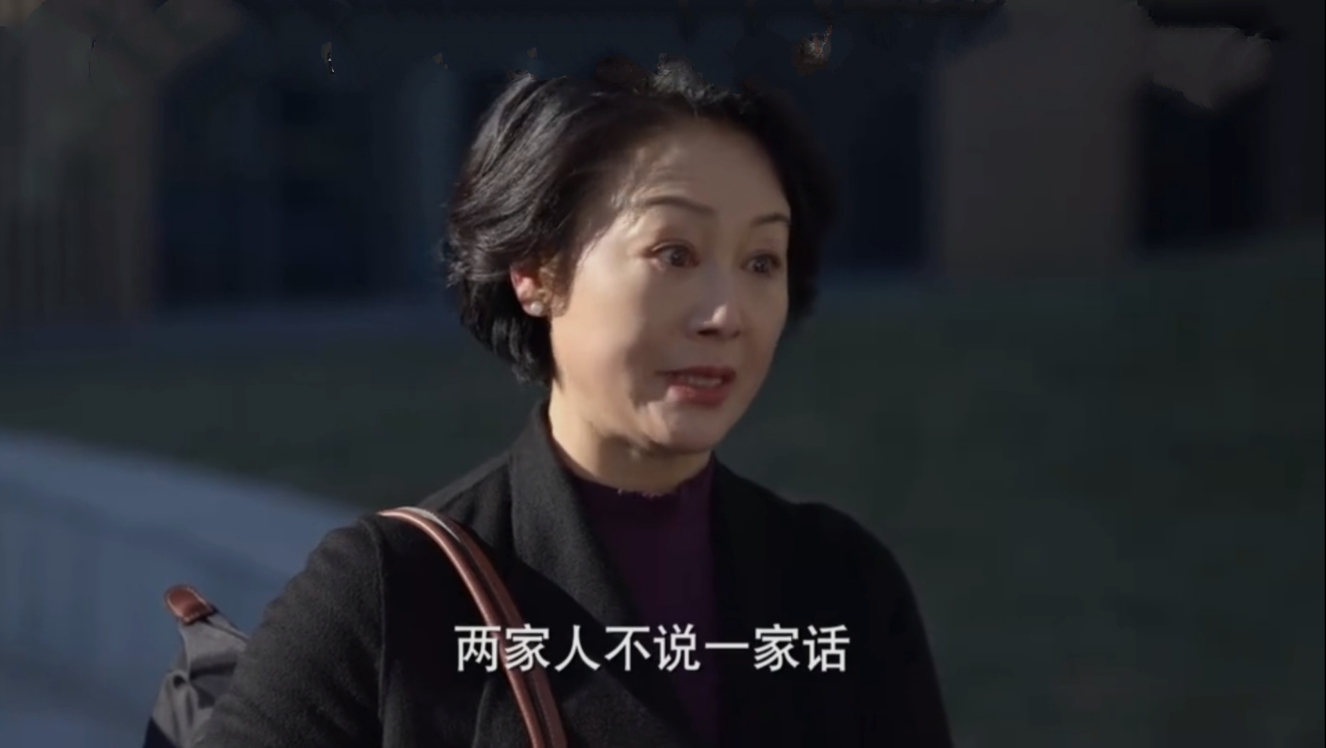 Gu Nian's most feared thing is not her mother-in-law's hypocrisy, nor ...