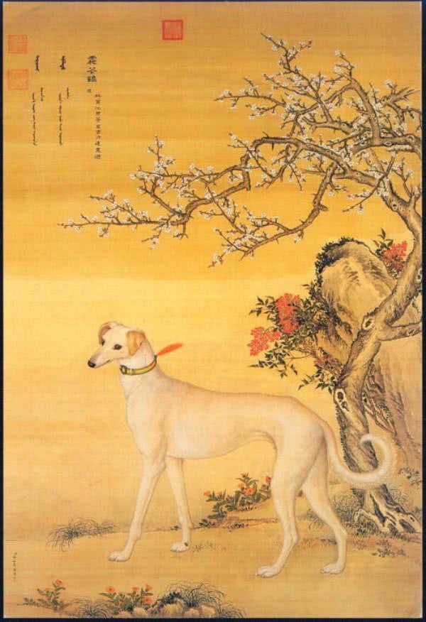 The Custom of Eating Dog Meat in the Han Dynasty - iMedia