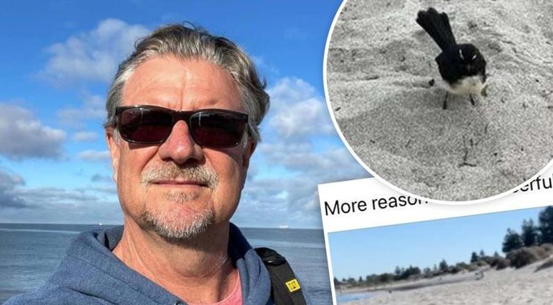 Actor Peter Hardy drowned at the age of 66 while snorkeling on the ...