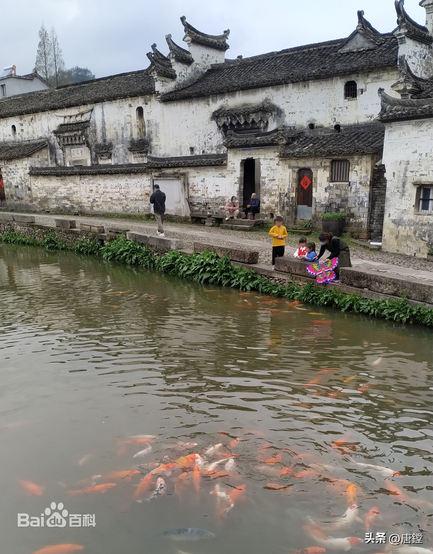 Millennium Heyang Ancient Dwellings: In-depth Exploration of the ...