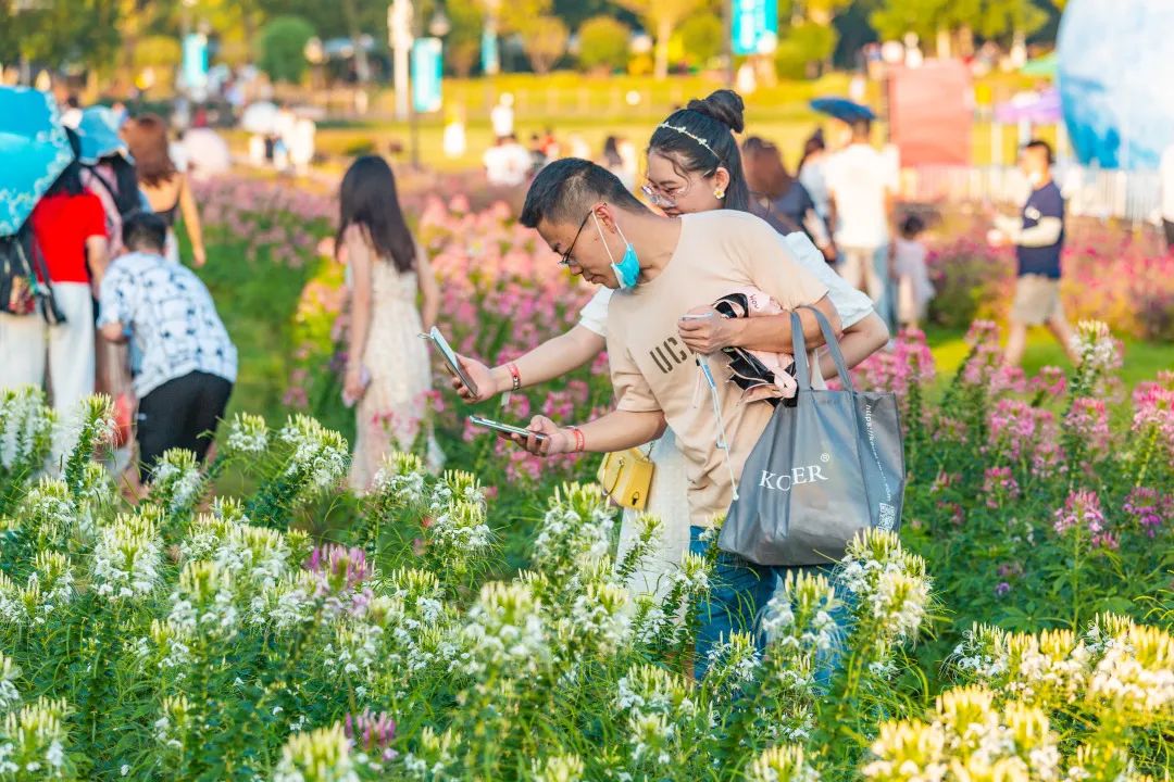 Where is Eleven going?These scenic spots in Caidian play new tricks on ...