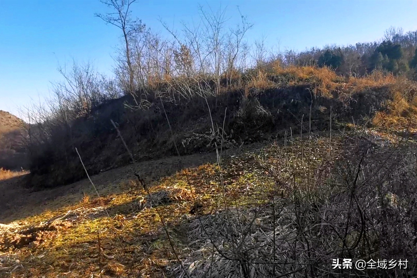 Who is the "Tomb of King Yan" in the deep mountains of western Henan ...