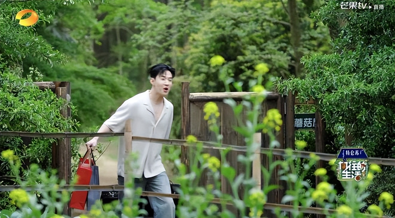 "Longing 7" He Jiong and Huang Lei are lonely and lonely, Liu Xianhua returns perfectly, and the ...