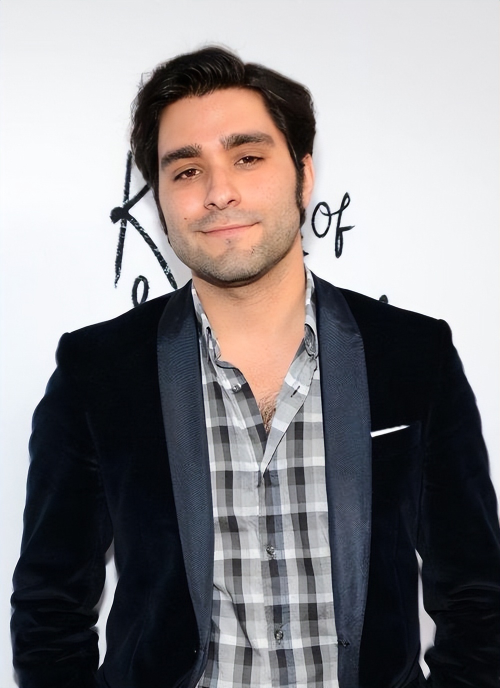 Jordan Vogel-Roberts: Through the selection of visual elements, the ...