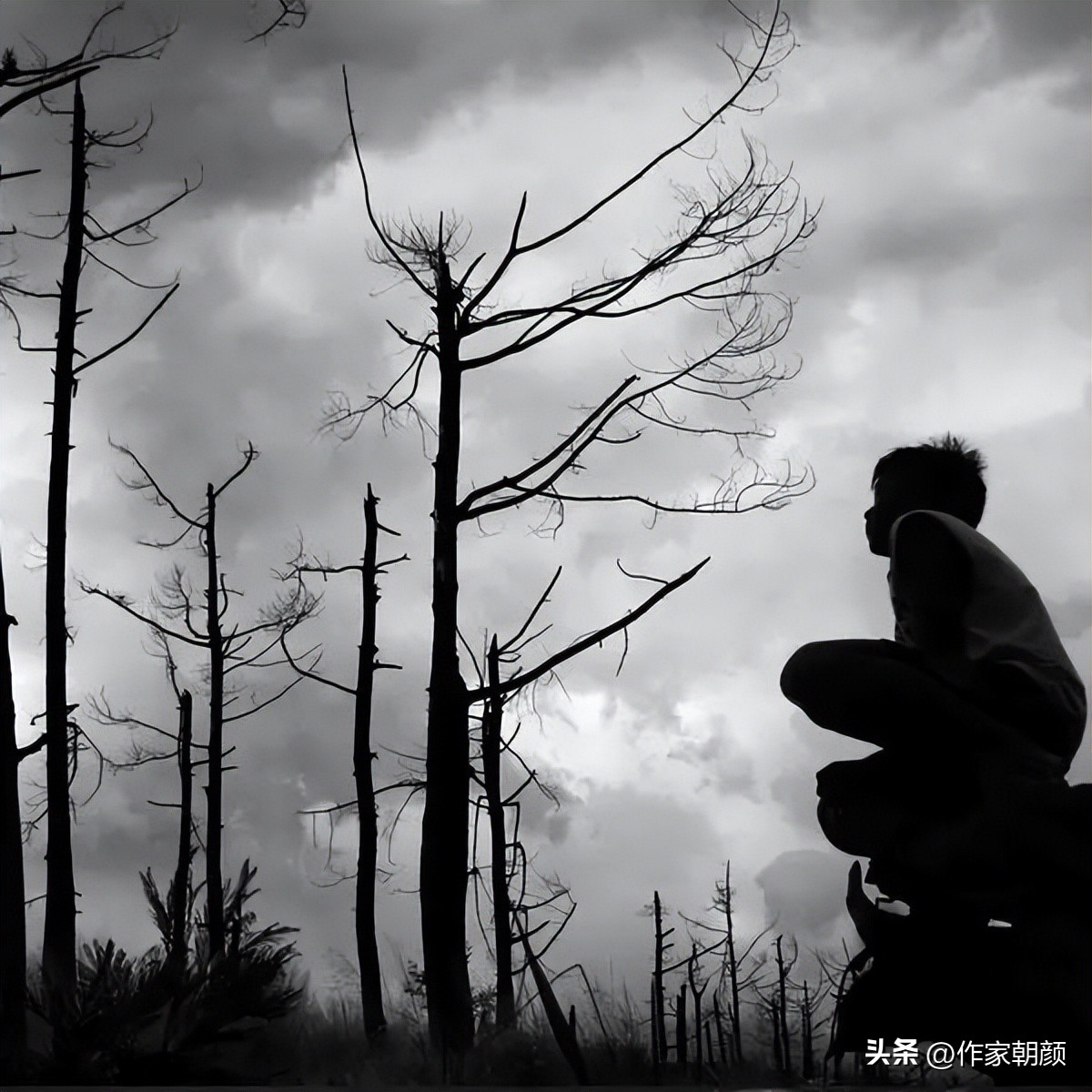 Camus: All maverick personalities mean strength - iNEWS