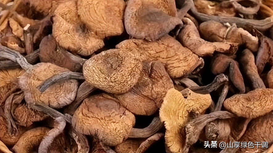 Chicken Mushroom Stew with Hazel Mushroom or Shiitake?Teach you a trick ...