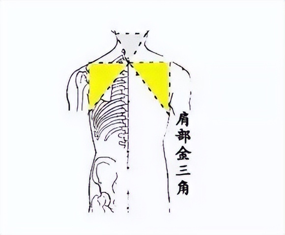 The magic triangle of the human body, pay attention to maintenance - iNEWS