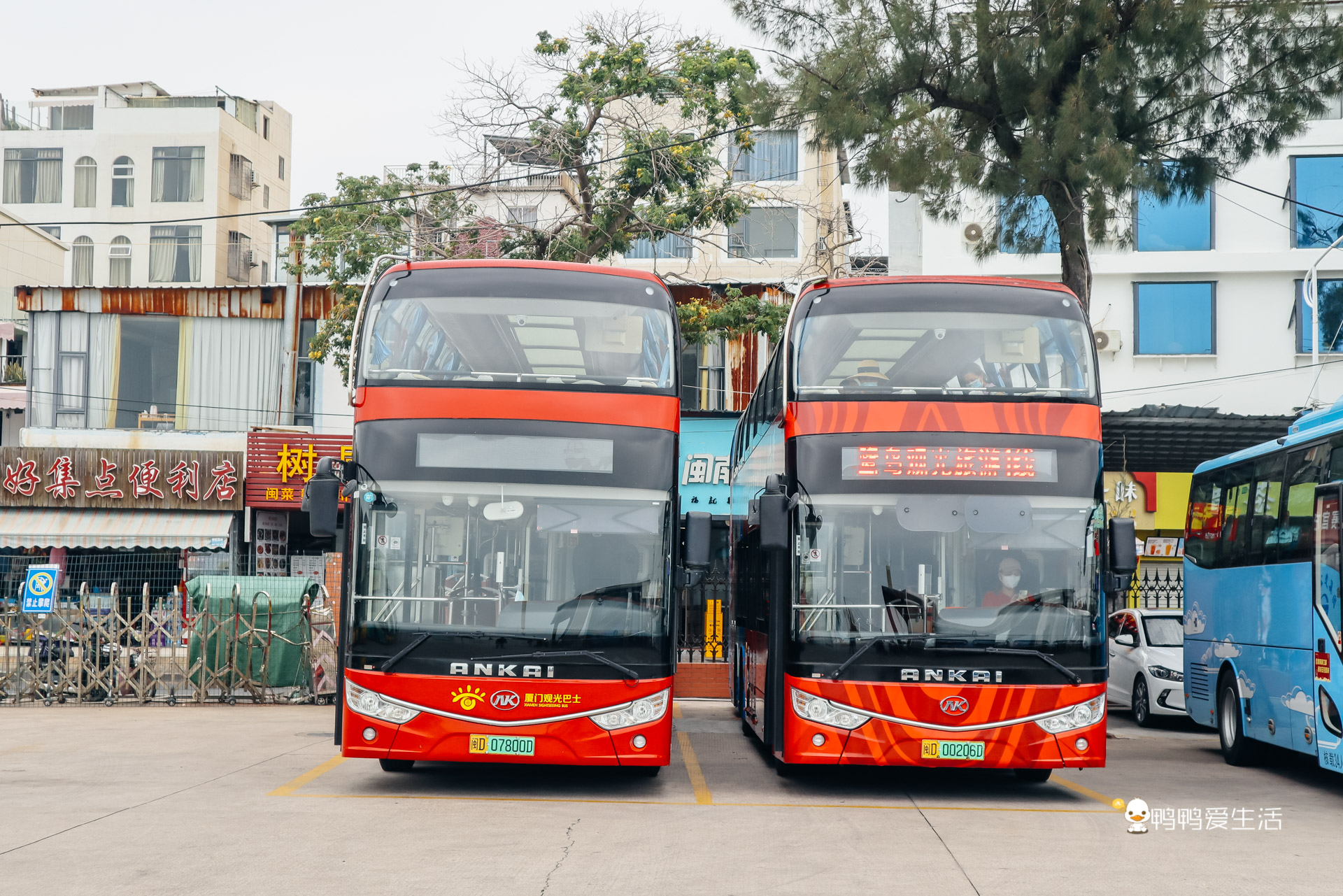 A new way to travel in Xiamen, take a sightseeing bus to explore the ...
