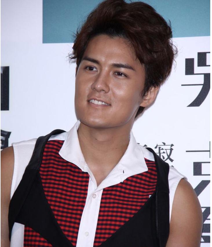 What are many star singers who once became popular for a while, what ...