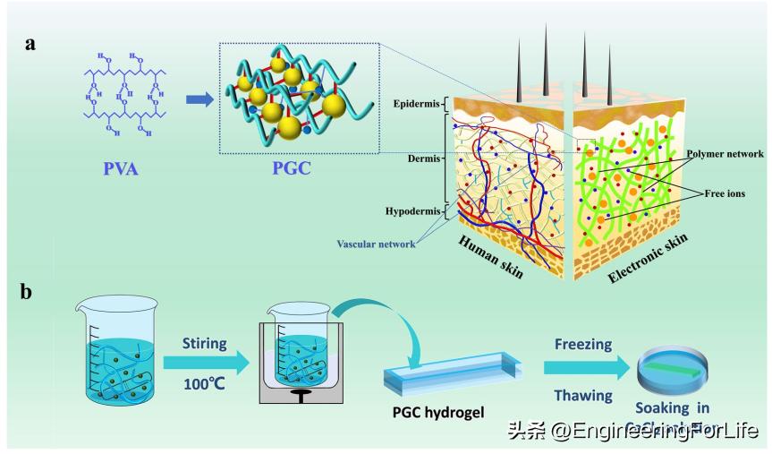 Skin-like super-tough supramolecular multifunctional hydrogel ...