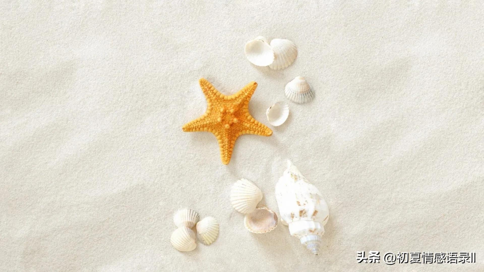 30 sentences that make people feel sad and want to cry, every sentence ...