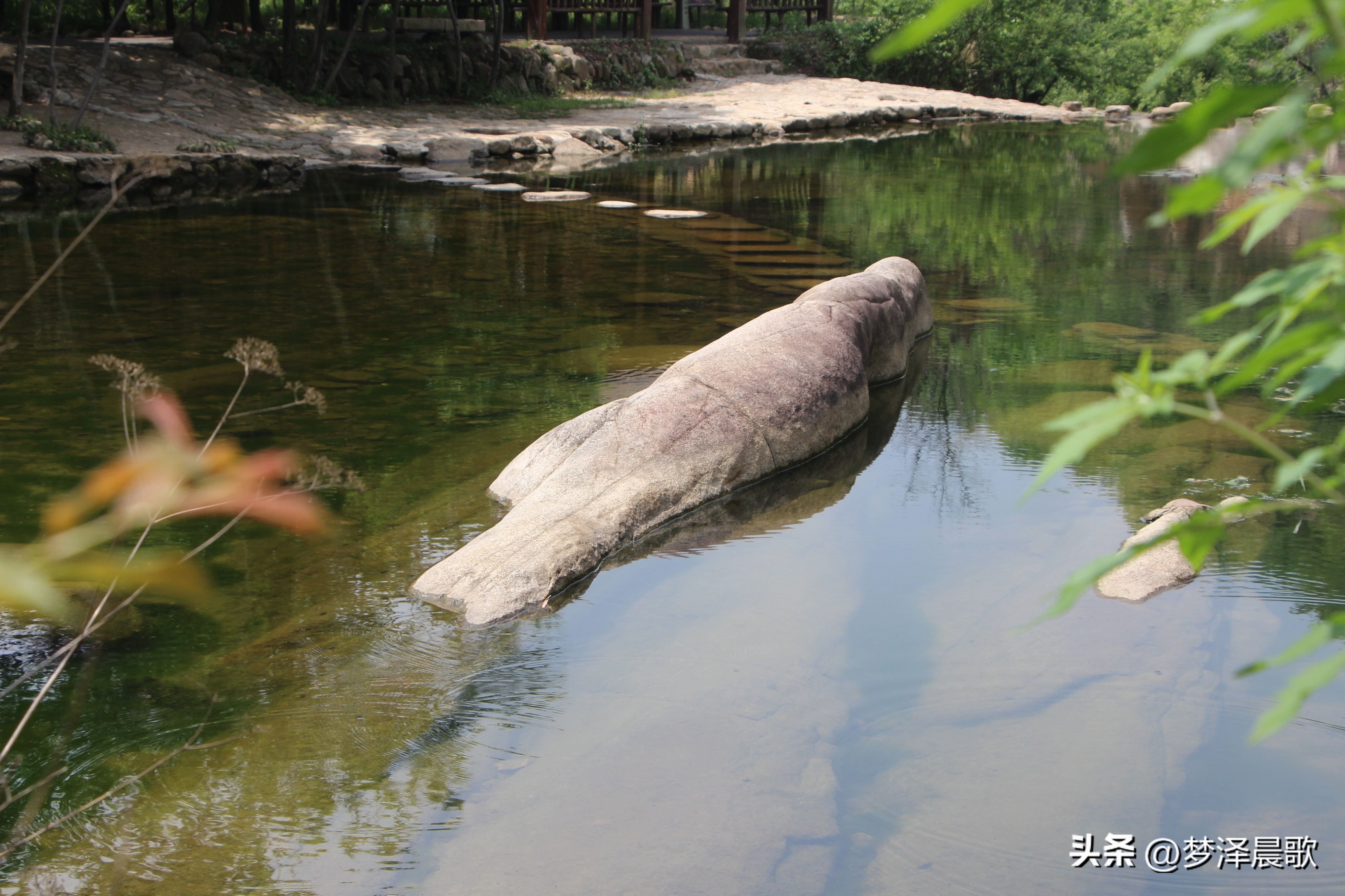 Wuhan: "Baiji dolphin" swims into Xiangxi Valley - iNEWS