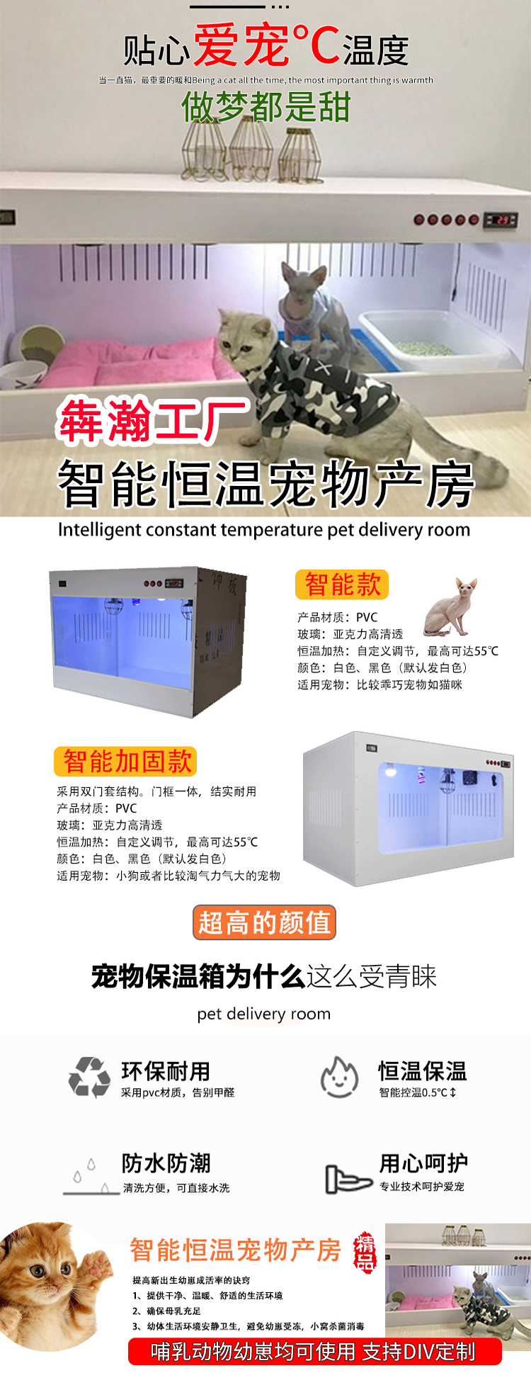 Cat Knowledge Popularization - iNEWS