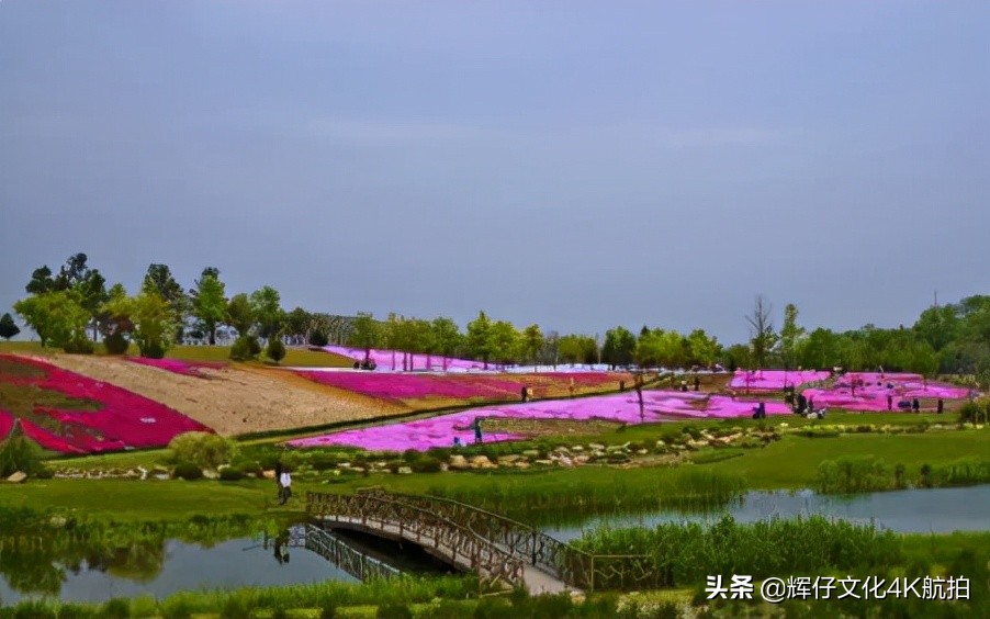 Where is the closest place to nature in Shanghai?come and see - iNEWS
