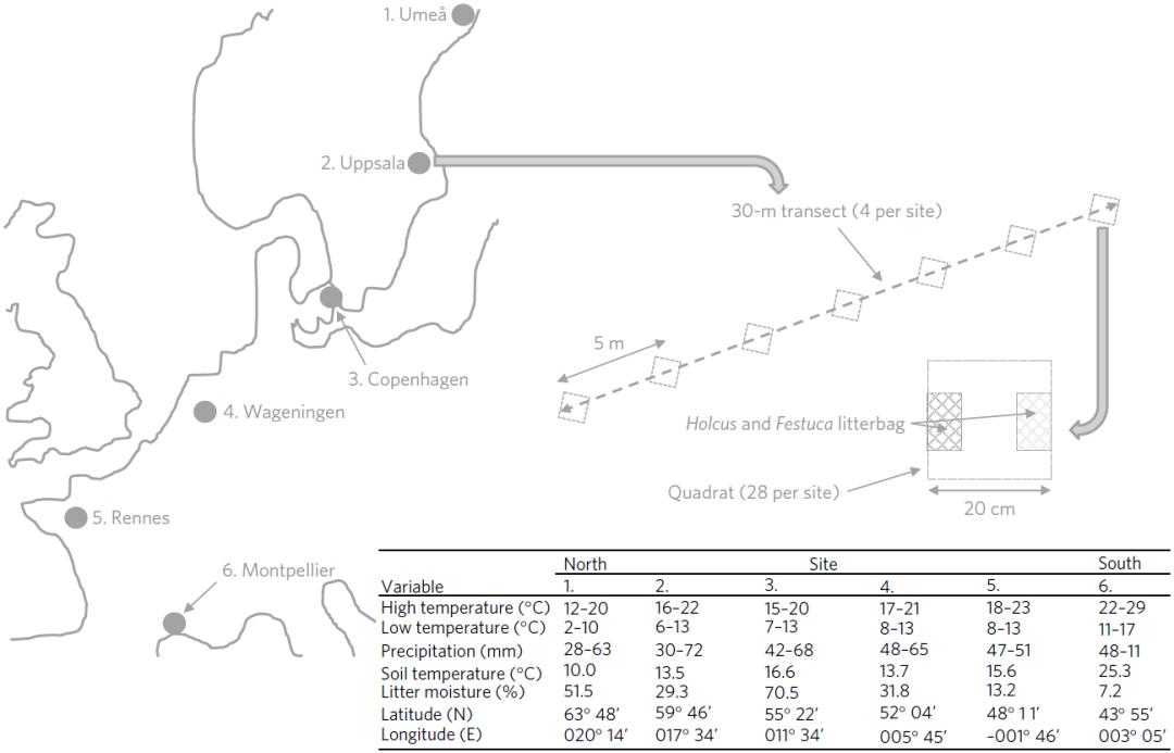 Nature Ecology & Evolution: Examining hierarchical models for litter ...