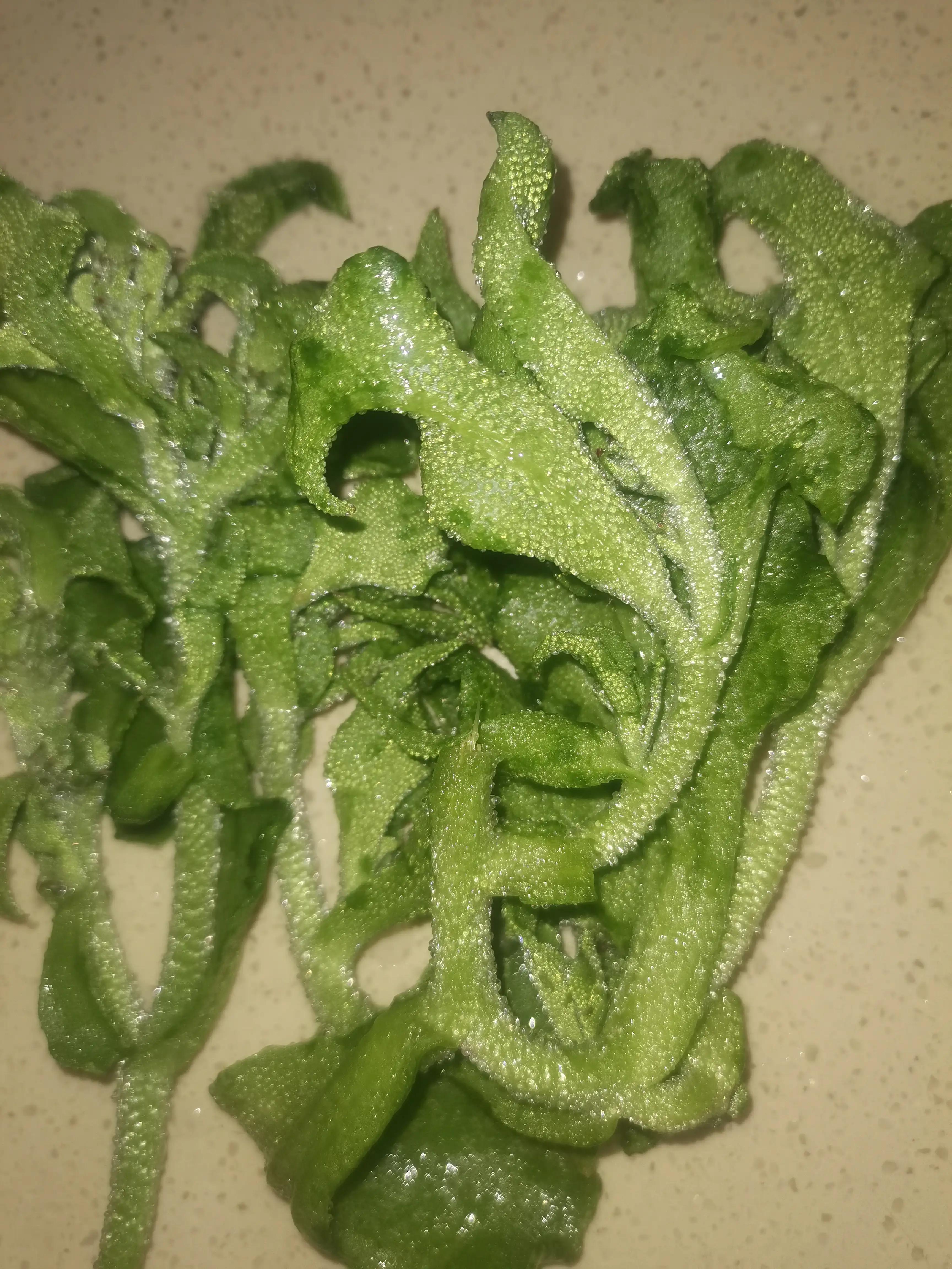 In midsummer, iced vegetables are delicious in this way - iMedia