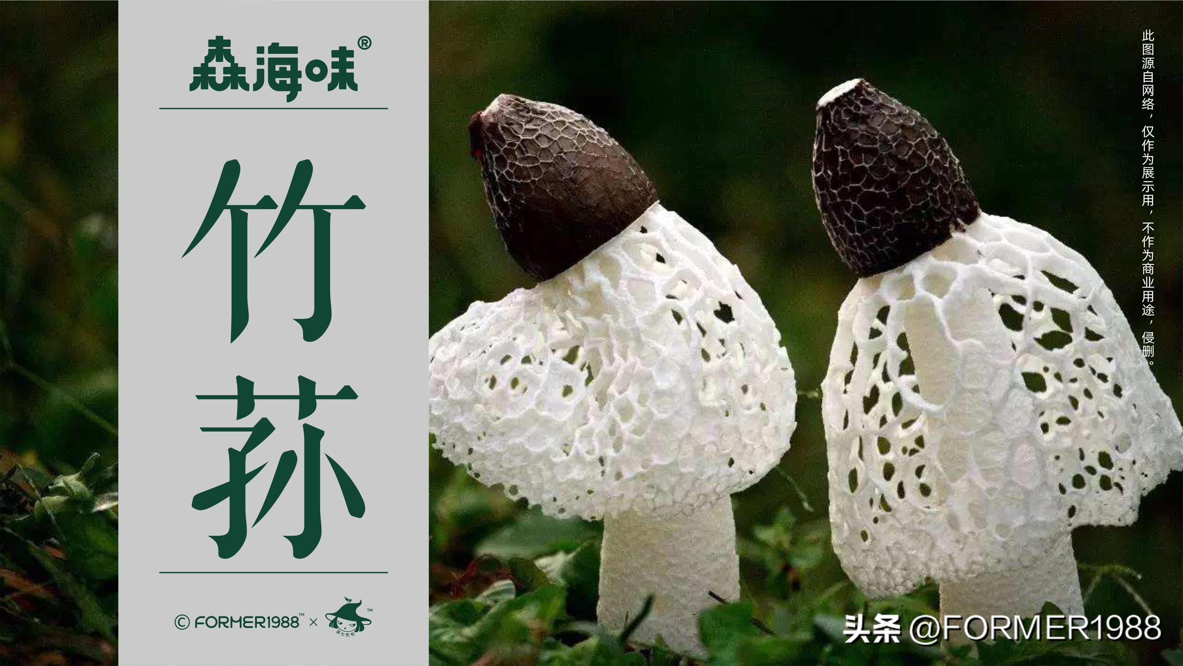Bamboo fungus packaging design "original" - iNEWS