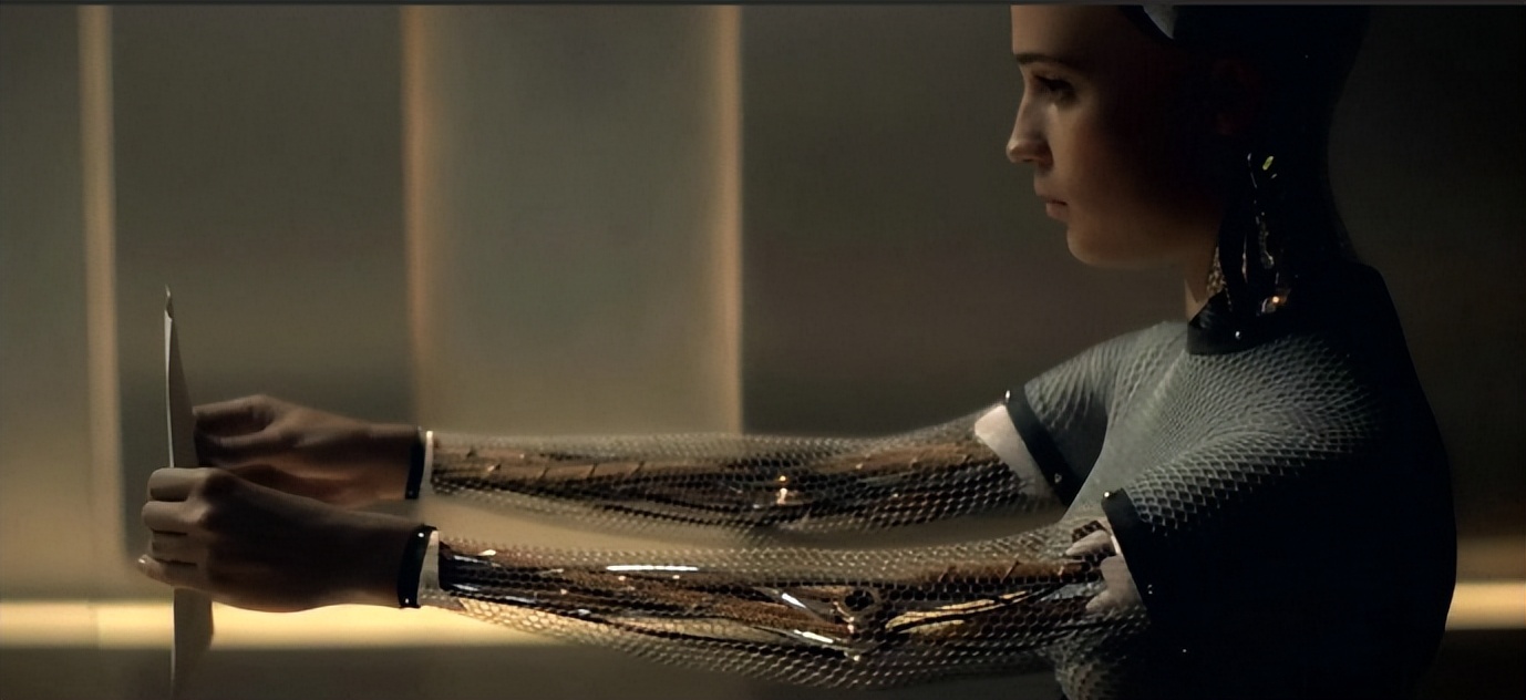 Ex Machina: Exploring the themes of artificial intelligence and self ...