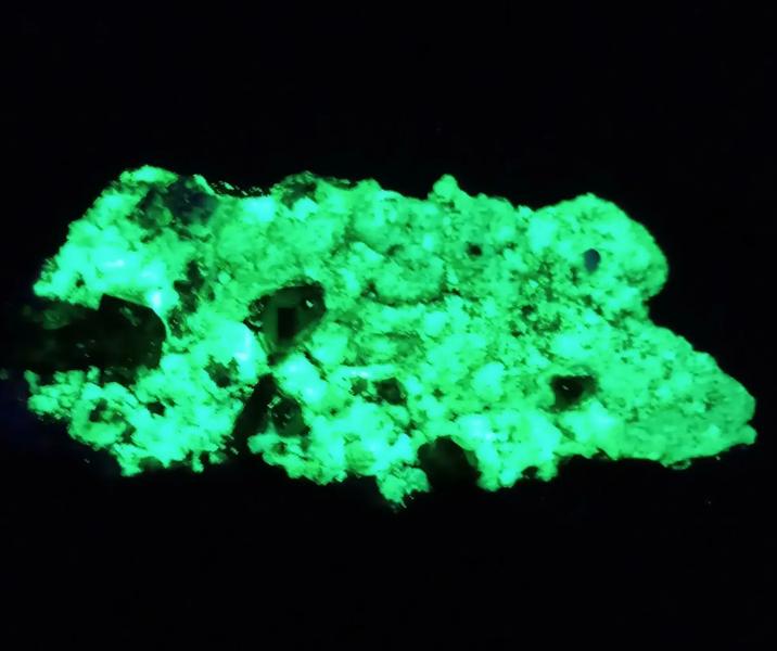 The ancient night pearl can really shine and tell you the truth - iNEWS