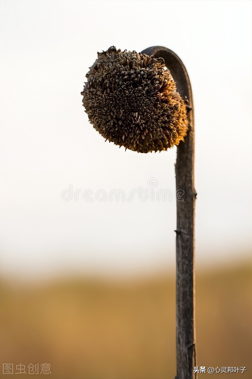 "Nietzsche: At the Turning Point of the Century" Episode 7 ...