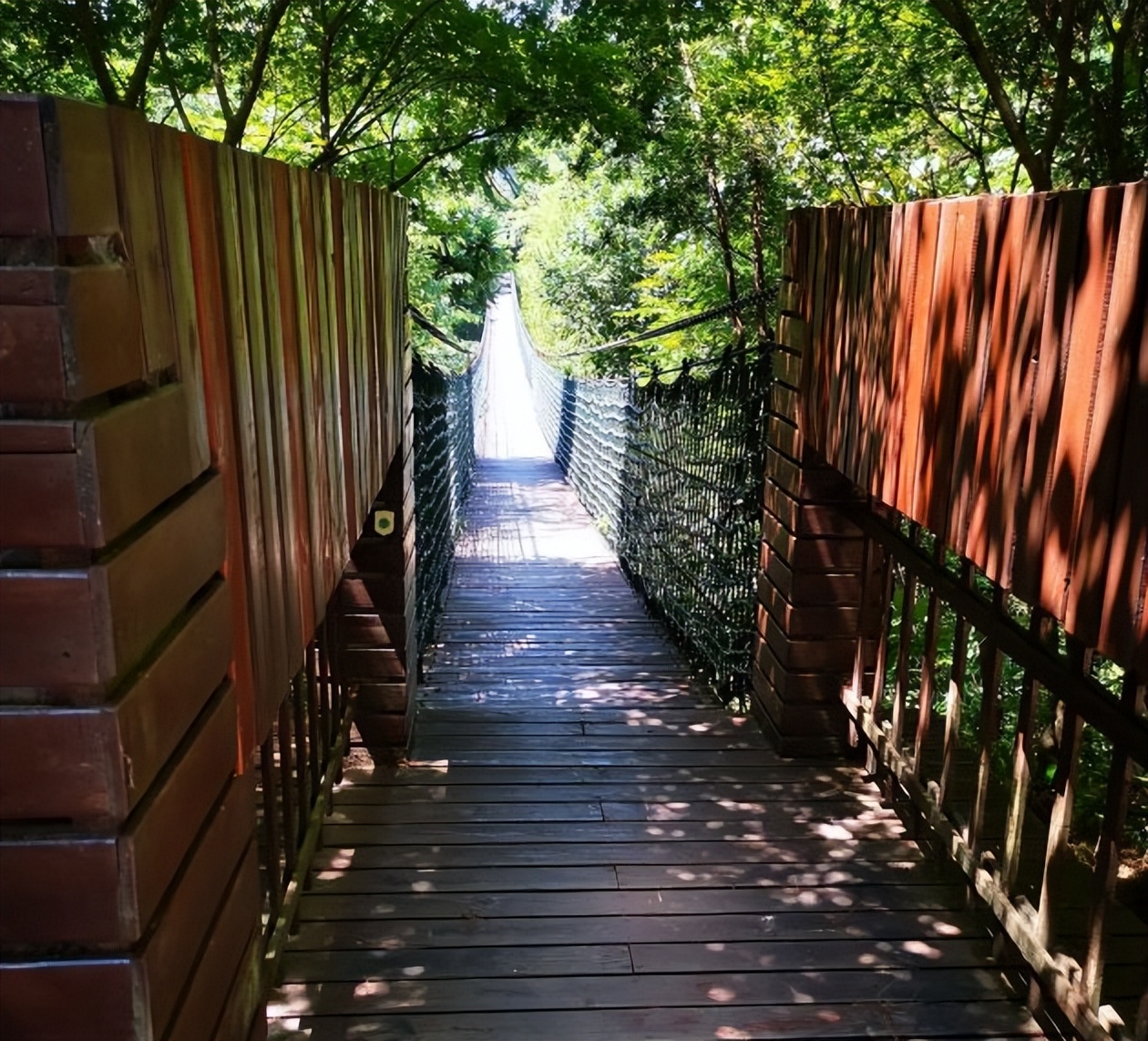 Hangzhou Forest Park, known as "Little Lushan", is full of wild fun - iNEWS