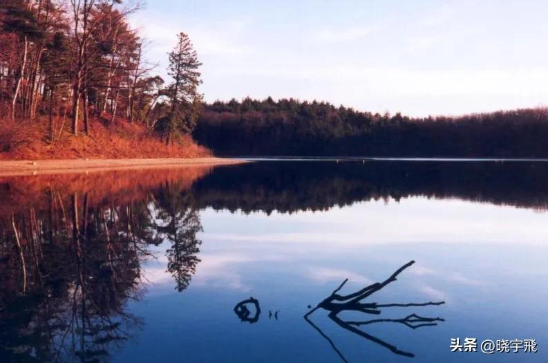 Henry David Thoreau's [Walden Pond]: Thoreau's Life in the Forest by ...