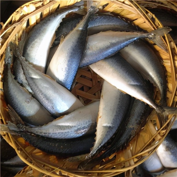 Chaoshan cuisine: fish rice, an alternative dish of Chaoshan people - iNEWS