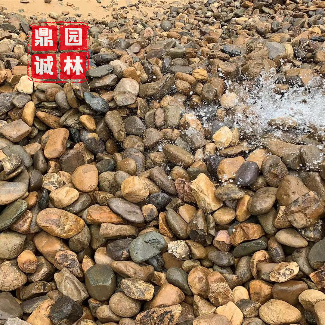 Variegated cobblestone various specifications greenway paving stone art ...