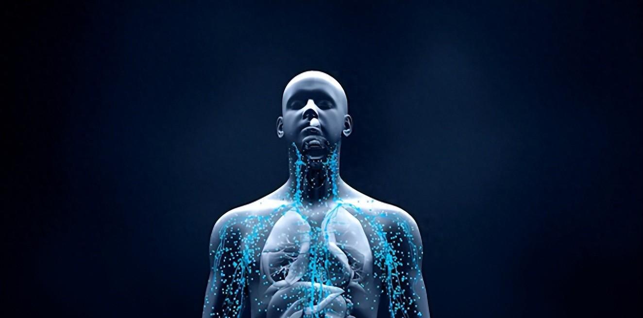 After life ends, what happens to the atoms that make up your body? - iNEWS