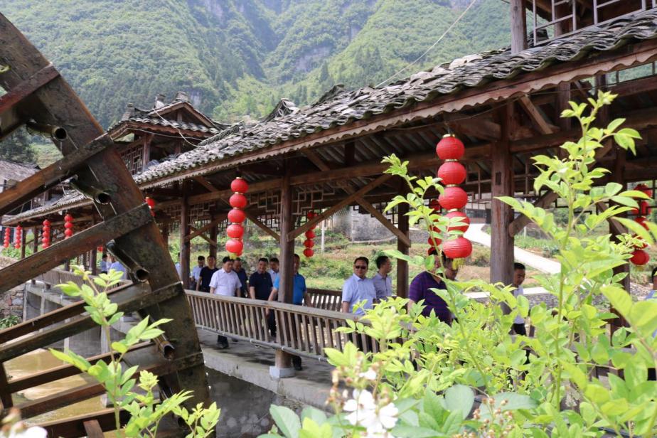 Meet Lingxiu Xihe - iNEWS