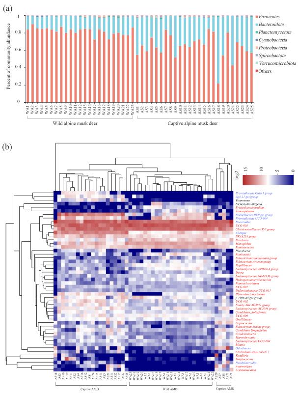 Different environmental conditions regulate the intestinal flora of ...