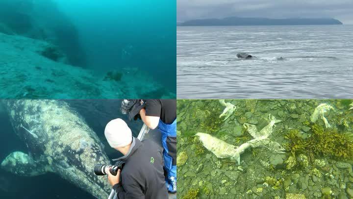 5 Marine Incidents That Were Photographed By Accident - iMedia