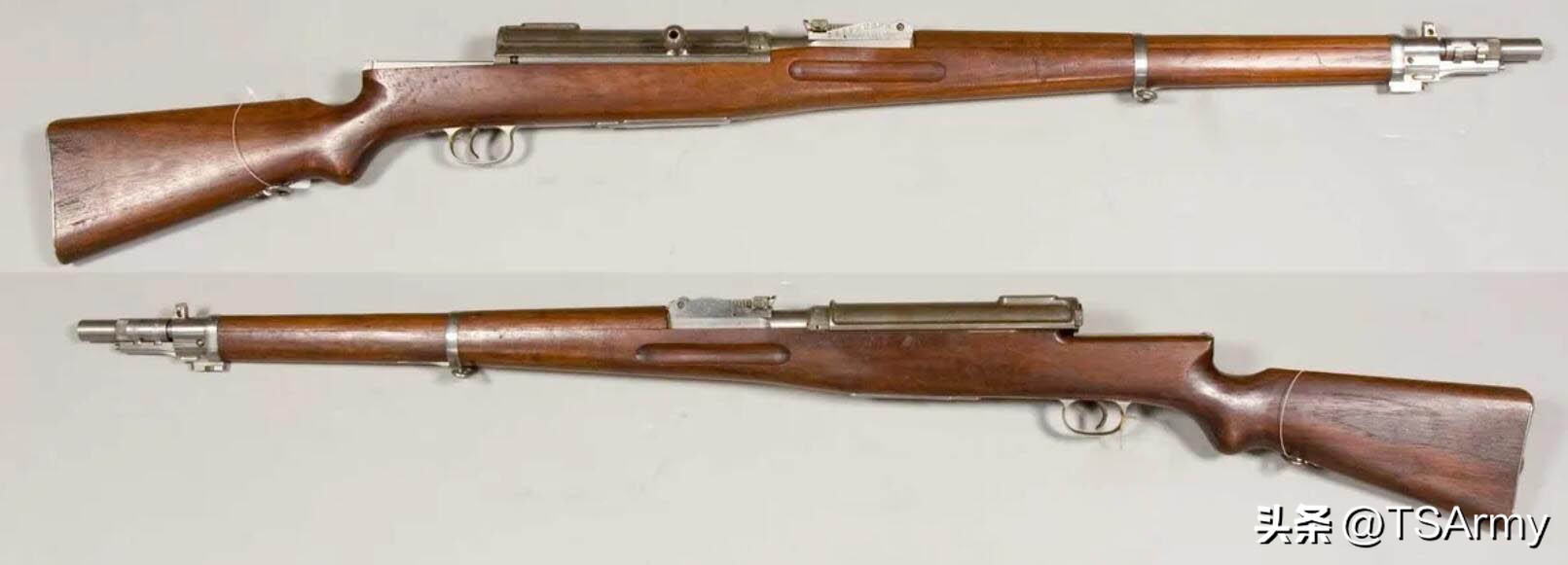 Inventory of 31 semi-automatic rifles in the world, most of which are ...