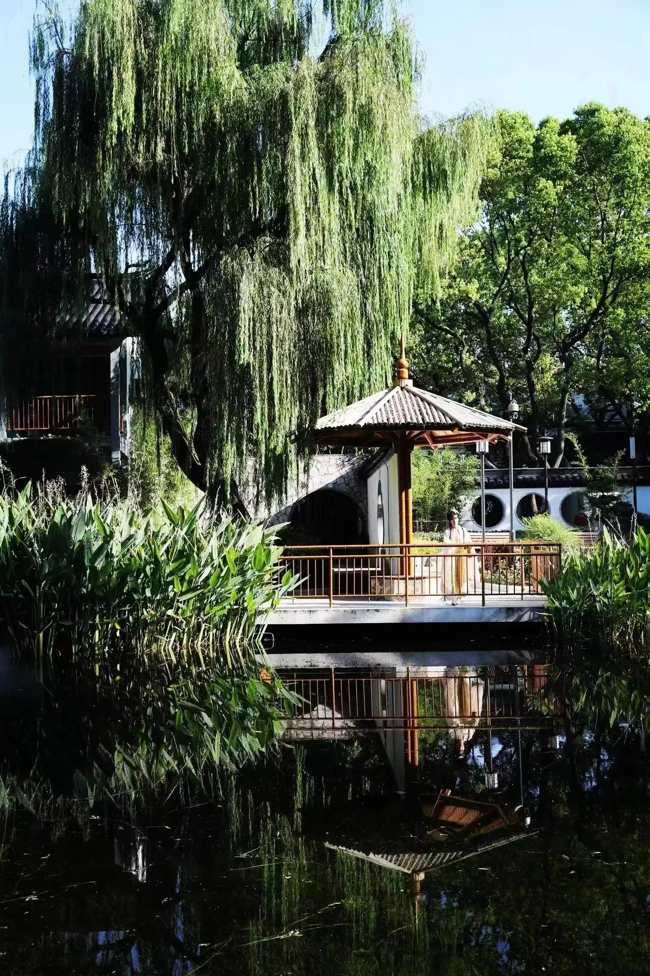 Ye Yin (Feng Shujun) - iMedia