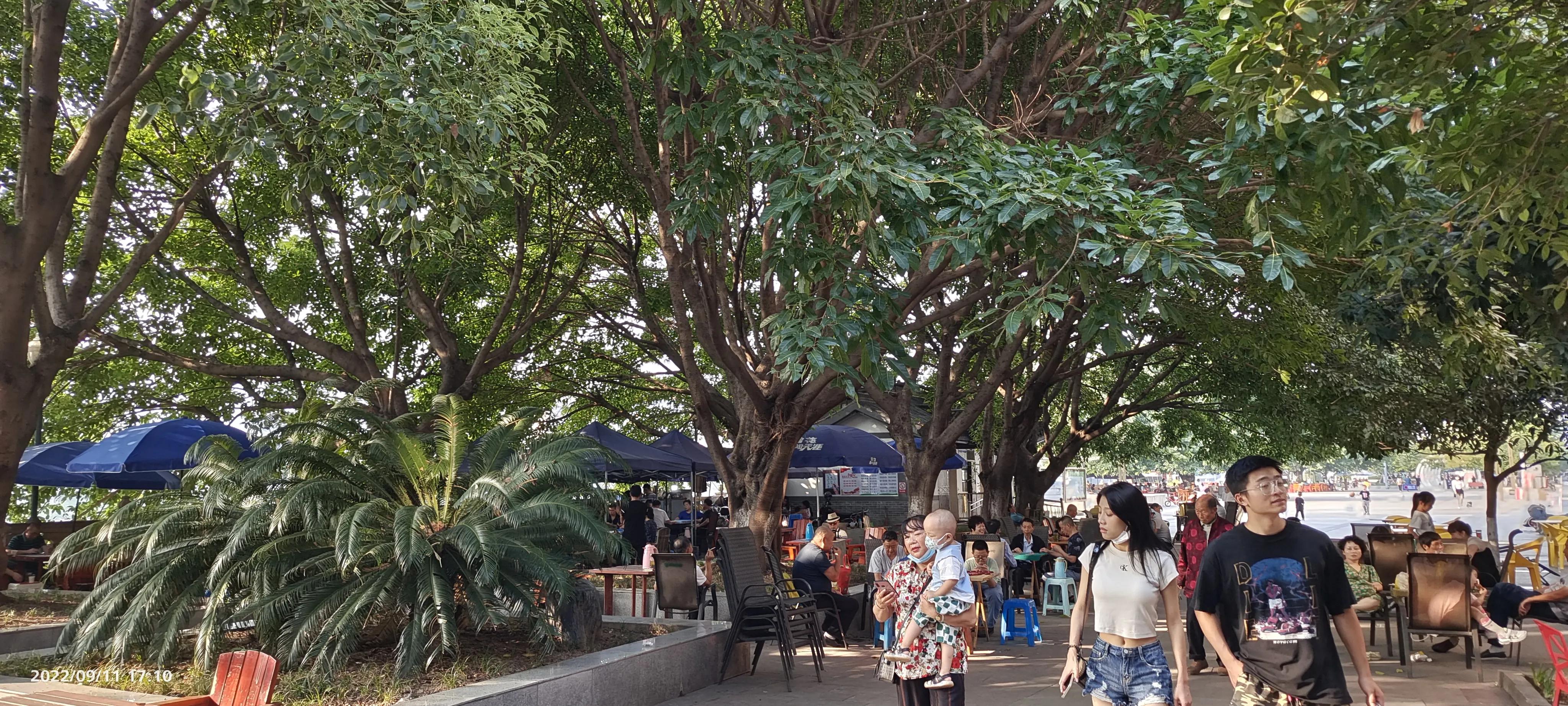 Wander around, walk around the bay - iNEWS